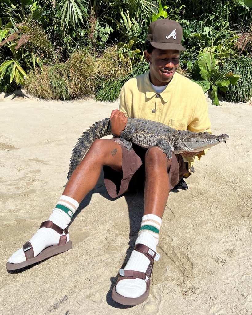 What Is Tyler The Creator Net Worth? His Earning Sources 2024 - All ...